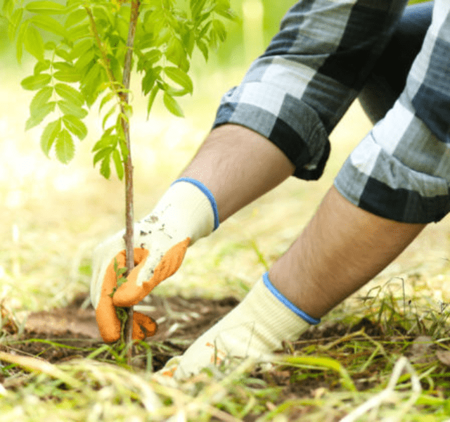 Booni Box - Corporate Ethical Gifting & Social Impact